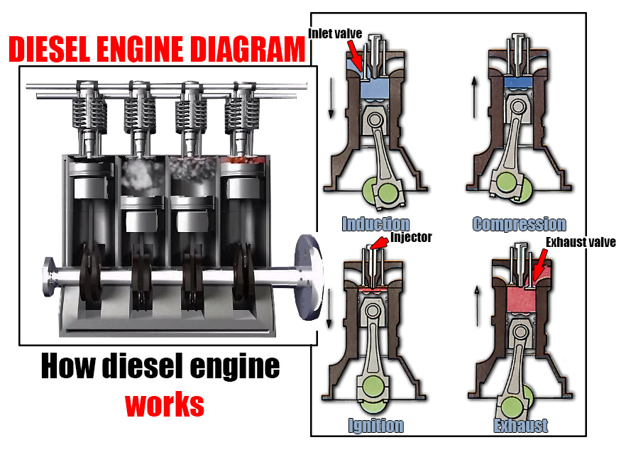 Diesel Engine Diagram Car Anatomy